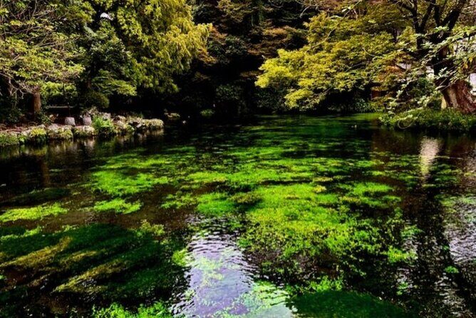 Mt.Fuji Small-Group Tour with Tea Farm,Strawberry Picking&Shrine - The Sum Up: Who Should Consider This Tour?