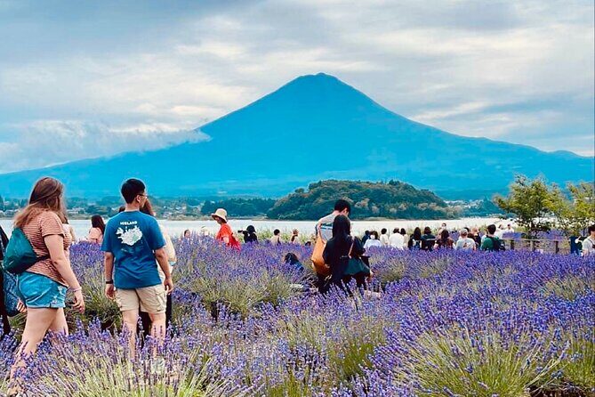 Mt. Fuji Spanish & English tour - Who is This Tour Best For?