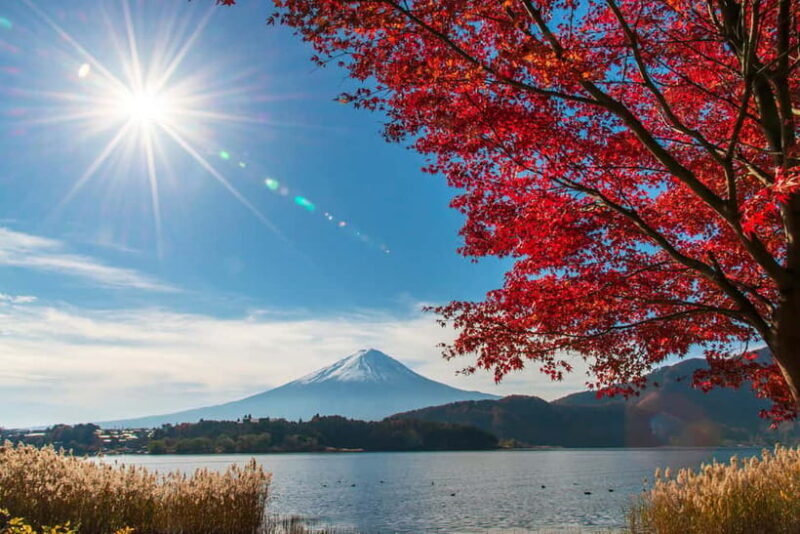 Mt. Fuji & Suntory Hakushu Distillery Whisky Museum - A Closer Look at the Itinerary