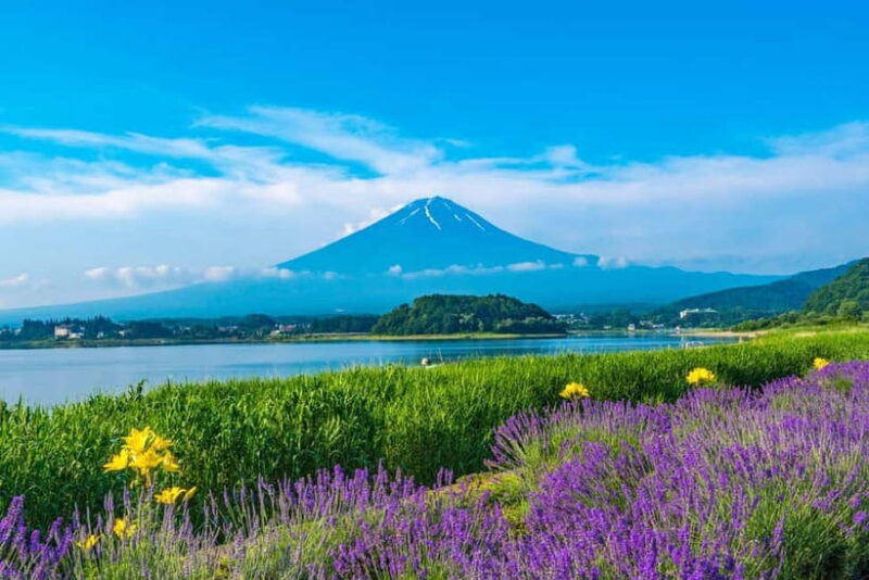 Mt. Fuji & Suntory Hakushu Distillery Whisky Museum - The Sum Up