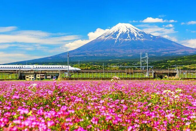 Mt. Fuji to Lake Kawaguchi, Lake Yamanaka and Onsen Day Tour - Key Points