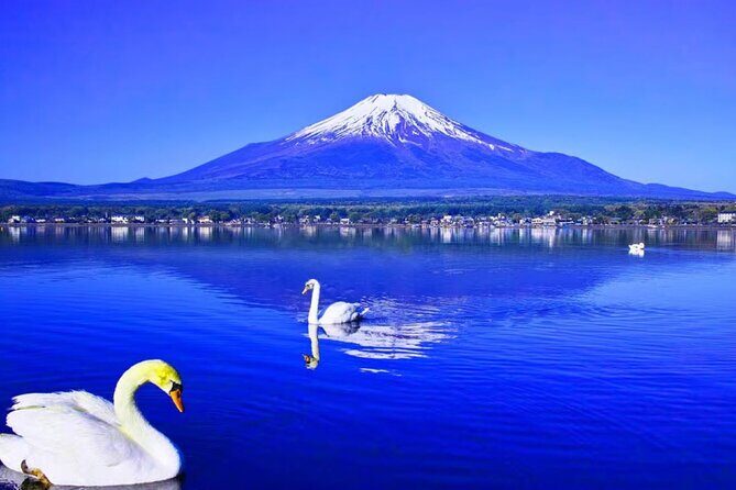 Mt. Fuji to Lake Kawaguchi, Lake Yamanaka and Onsen Day Tour - FAQ