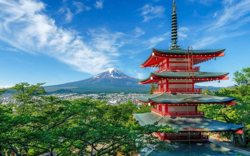 Mt Fuji Top 5 Spots Day Tour: Arakurayama Park,Oshino Hakkai - Who Should Consider This Tour?