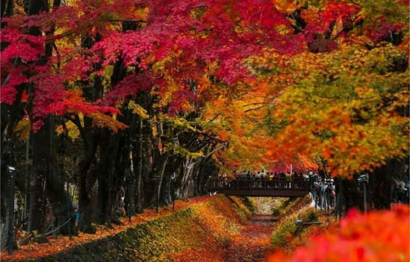 Mt Fuji Top 5 Spots Day Tour: Arakurayama Park,Oshino Hakkai - Final Thoughts: Is It Worth It?