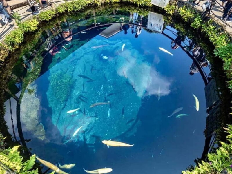 Mt Fuji Top 5 Spots Day Tour: Arakurayama Park,Oshino Hakkai - FAQs