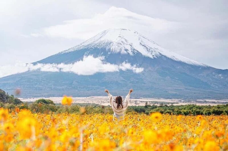 Mt. Fuji Top Spots Tour: Chureito Pagoda,Lake Views And More - A Day of Spectacular Views and Authentic Encounters