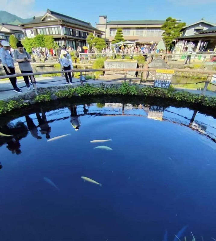 Mt. Fuji Top Spots Tour: Chureito Pagoda,Lake Views And More - Who Will Love This Tour?