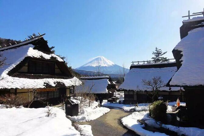 Mt.Fuji Tour: 3-Parks & The Healing Village in Fujiyoshida, Japan - An In-Depth Look at the Tour Experience