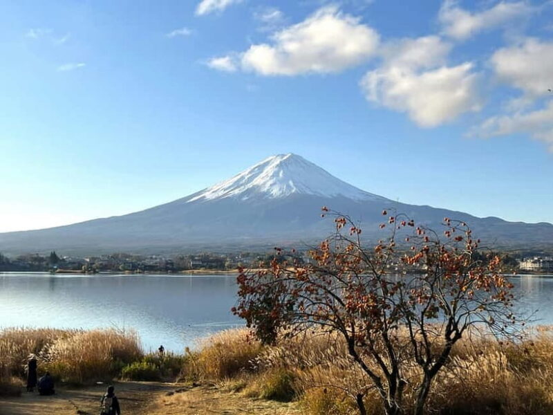 Mt Fuji Tour Customizable, fully Licenced Tour Operator - The Details of What to Expect
