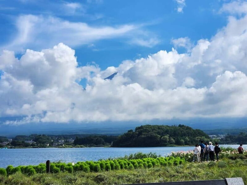 Mt Fuji Tour Customizable, fully Licenced Tour Operator - The Experience from Reviews & Real Feedback