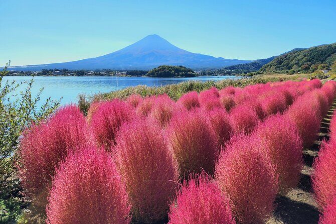 Mt Fuji Tour from Shimizu Port by Private Car - What the Tour Entails: A Step-by-Step Breakdown