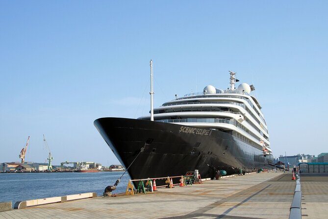 Mt Fuji Tour from Shimizu Port by Private Car - Who Is This Tour Best For?