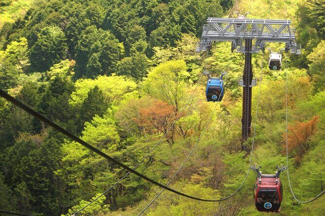 Mt Fuji Tour from Shimizu Port by Private Car - FAQ