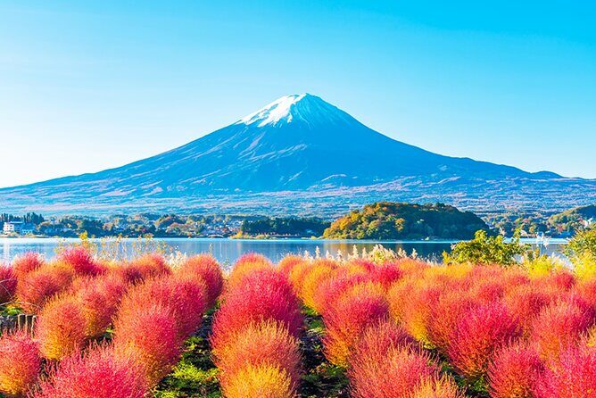 Mt. Fuji Tour Historic VillageKawaguchiko Ropeway and Matcha - Key Points