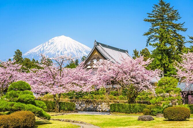 Mt. Fuji Tour in Lake Kawaguchi and Oshino Hakkai - Key Points