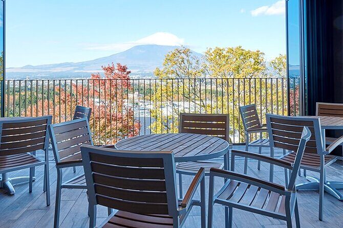 Mt. Fuji Tour in Lake Kawaguchi and Oshino Hakkai - Who Should Consider This Tour?