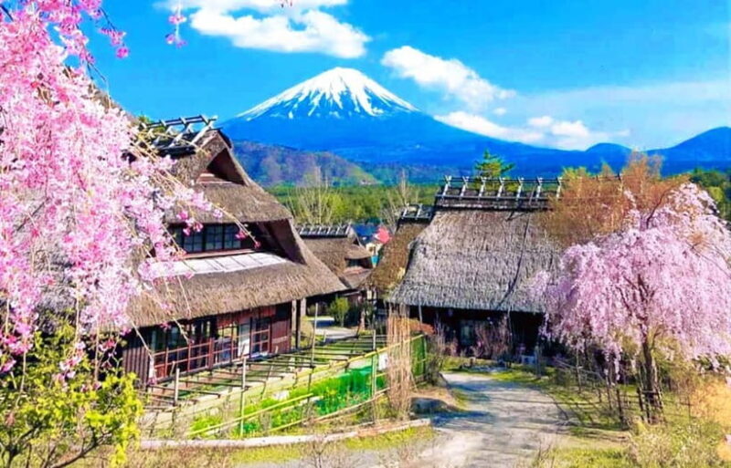 Mt Fuji Tour: Lake Kawaguchi, Shrine,Healing Village &Pagoda - An In-Depth Look at the Mt. Fuji Day Tour