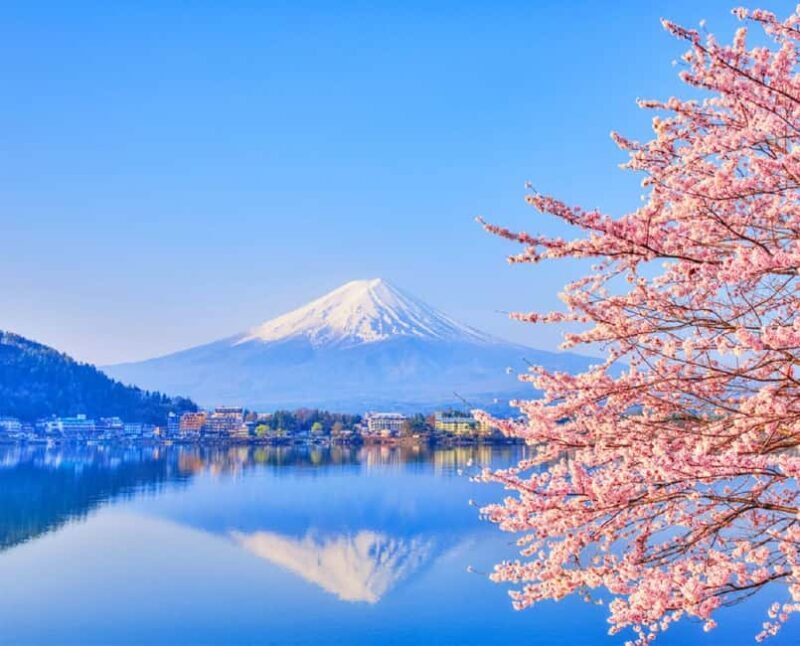 Mt. Fuji Tour: Lake Kawaguchiko Ropeway,Matcha,Oshino Hakkai - A Complete Look at the Mt. Fuji Day Trip