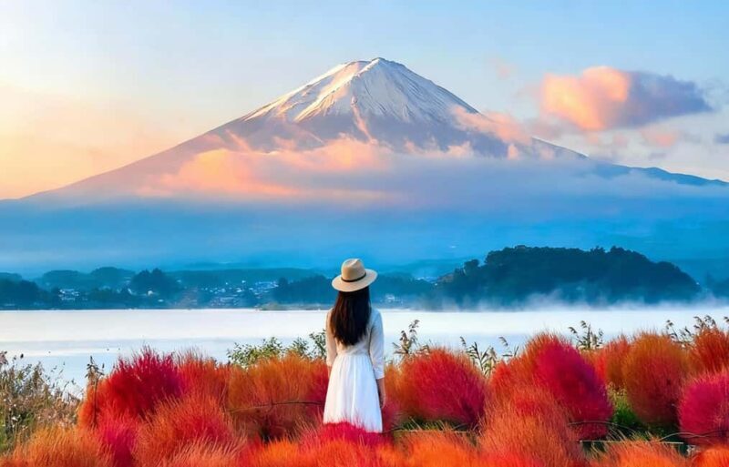 Mt. Fuji Tour: Lake Kawaguchiko Ropeway,Matcha,Oshino Hakkai - Who Should Consider This Tour?