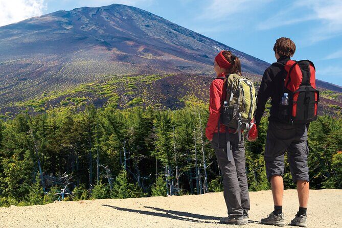 Mt.Fuji Trekking 1 Day Tour up to the summit - Why Choose This Mount Fuji Trekking Tour?