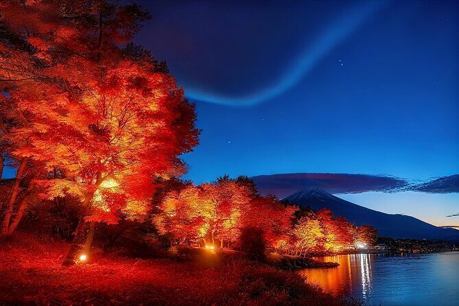 Mt Fuji Twin Lakes Maple Festival Night Lights Tour - Key Points
