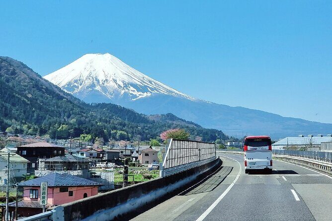 Mt. Fuji View and 2hours+ free time at Gotemba Premium Outlets - An Honest, Practical Review of the Tour