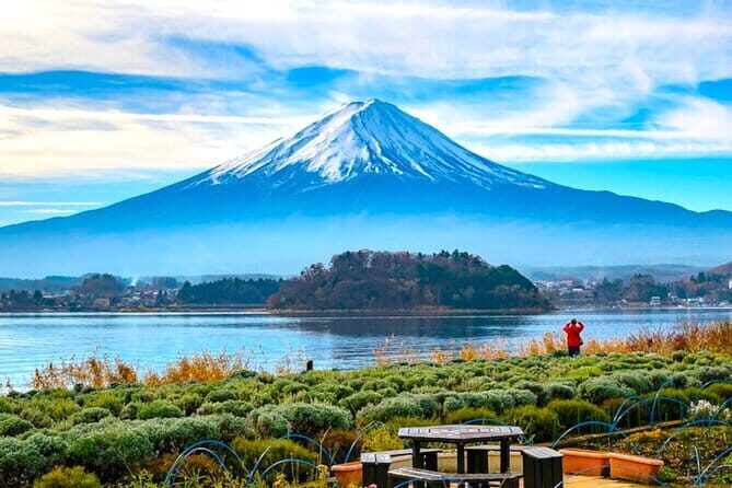 Mt. Fuji viewing & Suntory Hakushu Distillery Whisky Museum - FAQ