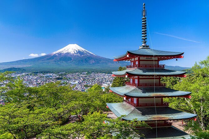 Mt. Fuji Views and Kawaguchiko Scenic Day Tour From Tokyo - The Sum Up