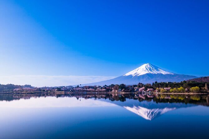 Mt. Fuji Views and Kawaguchiko Scenic Day Tour From Tokyo - FAQ