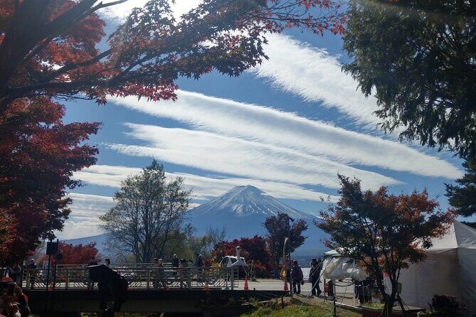 Mt Fuji with Kawaguchiko Lake Day Tour - A Detailed Look at the Tour Itself