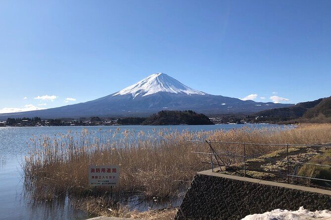 Mt Fuji with Kawaguchiko Lake Day Tour - Who Will Love This Tour?