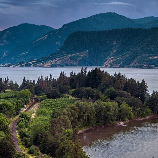 Mt Hood & Columbia River Private tour from Portland - The Experience and Value