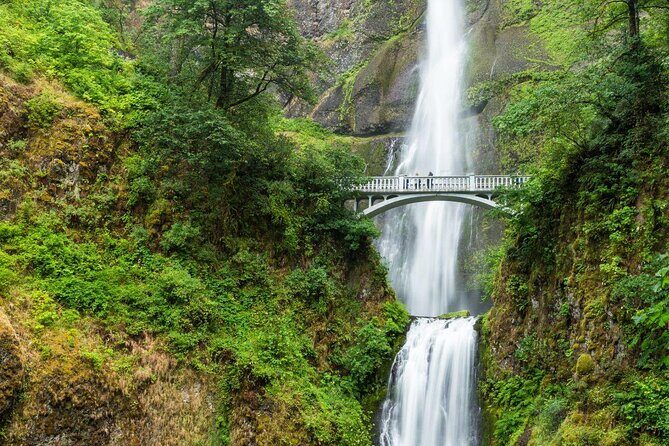 Mt Hood Loop Tour including Multnomah Falls - Analyzing the Value