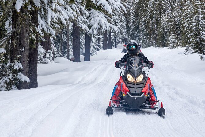 Mt Hood National Forest - 90 Minute Snowmobile Adventure - What to Expect From This Snowmobile Tour
