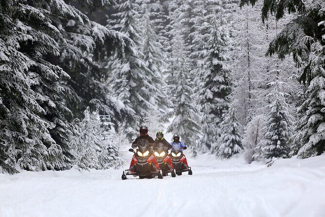Mt Hood National Forest - 90 Minute Snowmobile Adventure - The Riding Experience: What Youll Love