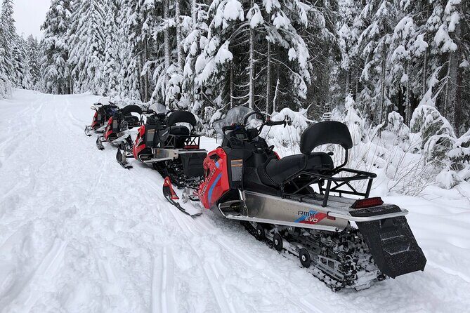 Mt Hood National Forest - 90 Minute Snowmobile Adventure - Final Thoughts: Is It Worth It?