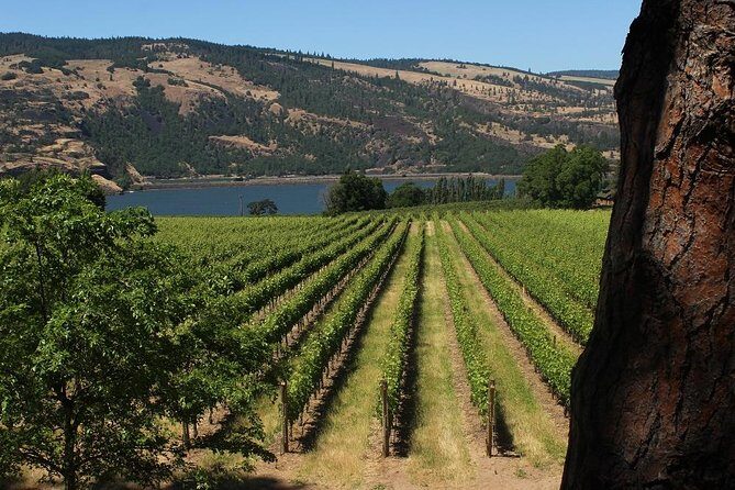 Mt Hood, Waterfalls, and Wine Tour with Tasting Fees Included - Logistics and Practical Details