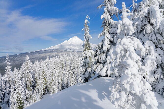 Mt. Hood Winter Wonderland Snowshoe Adventure - Final Thoughts: Who Should Book This Tour?