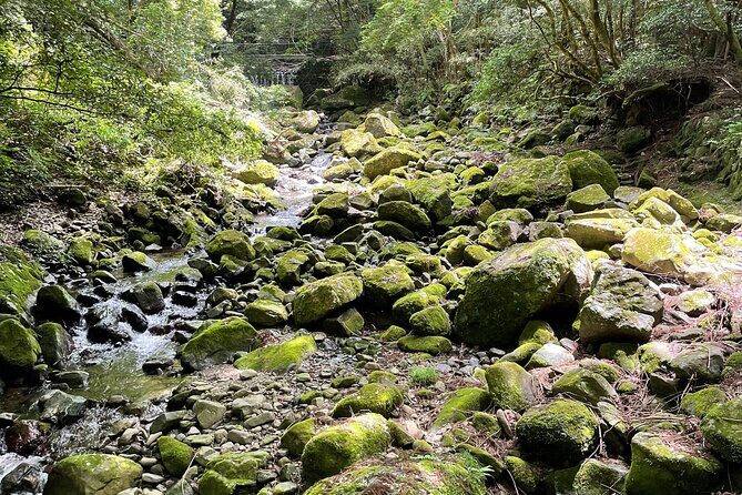 Mt. Inunaki Trekking and Waterfall Training in Izumisano Osaka - An In-Depth Look at the Experience