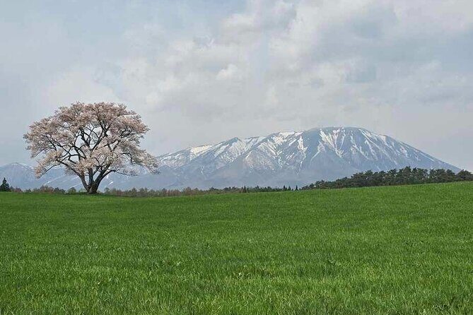 Mt. Iwate Panorama Cycling Tour: Culture and Scenic Views - The Itinerary in Detail