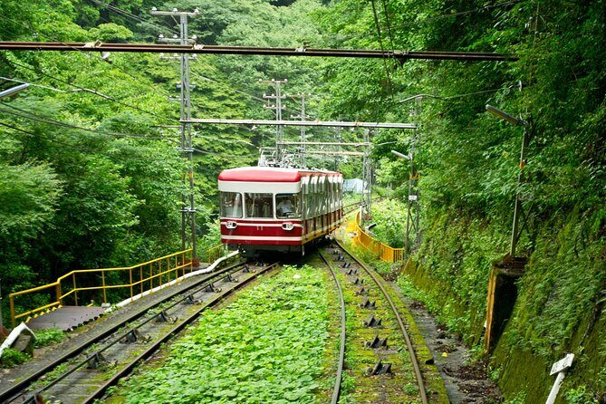 Mt. Koya Sacred 6hr Private Tour with Government Licensed Guide - Who Will Get the Most Out of This Tour?