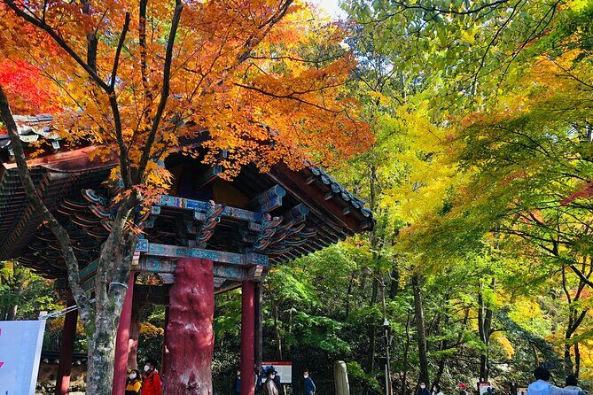 MT. Naejang Autumn Foliage and Jeonju Hanok village 1 Day Tour - In-Depth Look at the Tour