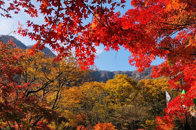 MT. Naejang Autumn Foliage and Jeonju Hanok village 1 Day Tour - Summary: Is It Worth It?