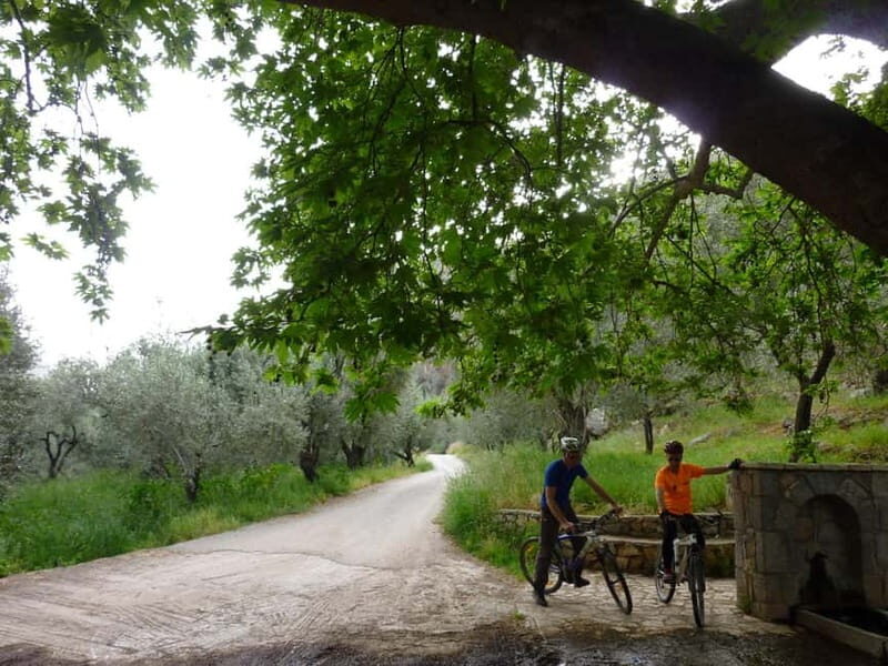Mt. Parnassos: Mountain Bike in Altitude Forest - Key Points
