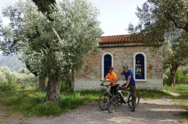 Mt. Parnassos: Mountain Bike in Altitude Forest - The Logistics and Booking