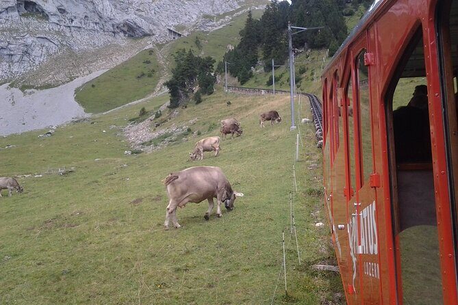 Mt. Pilatus Golden Roundtrip Small Group Day Trip from Basel - Who Should Consider This Tour?