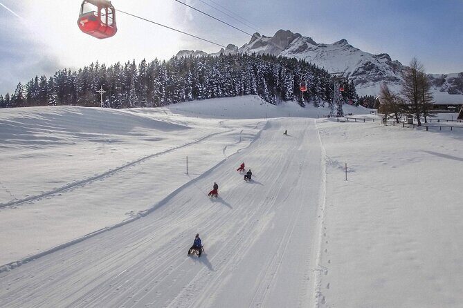 Mt. Pilatus Gondola and Aerial Cableway Ticket from Kriens - Who Should Consider This Tour?