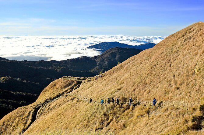 Mt Pulag Private Tour Night travel from Manila ( Max 6 Travelers Only) - Key Points