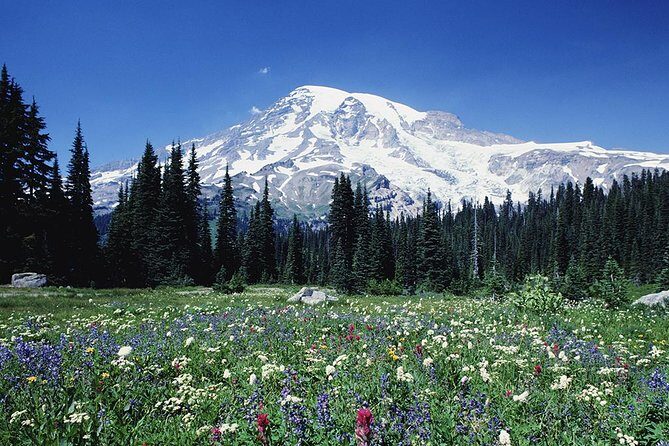Mt. Rainier Day Tour from Seattle - Key Points