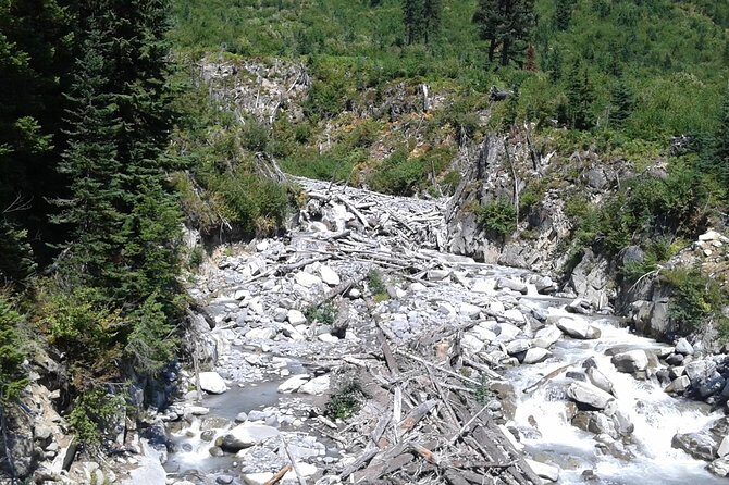 Mt Rainier Private Tour Experience in SUV - The Value for Your Money